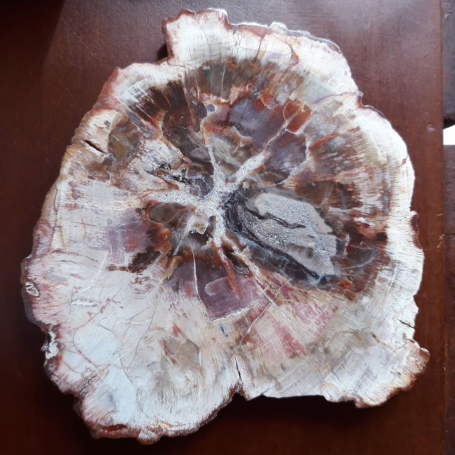 Crystals For Autumn, Fall & Autumn Equinox - Ethan Lazzerini